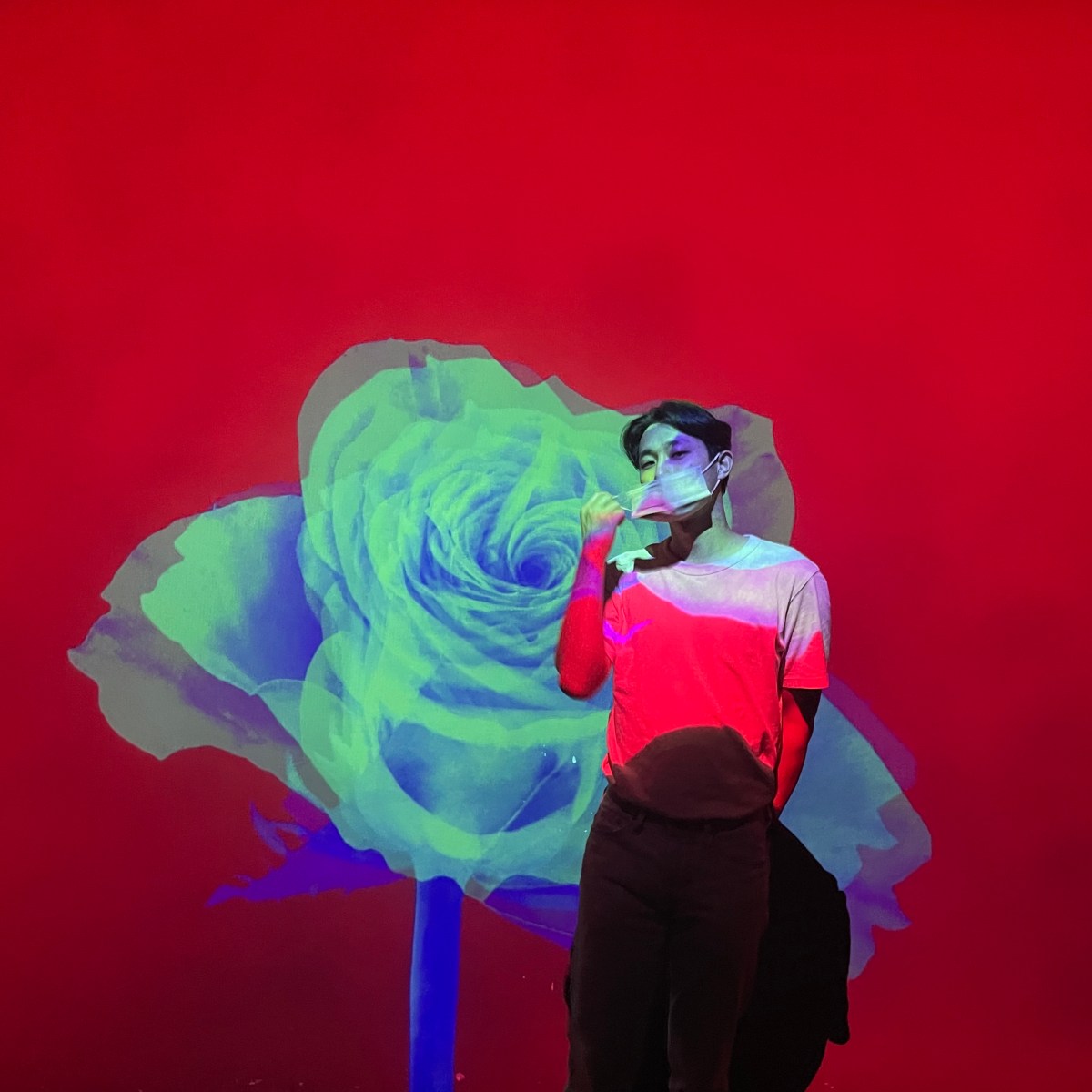 lee, sooho – 이수호